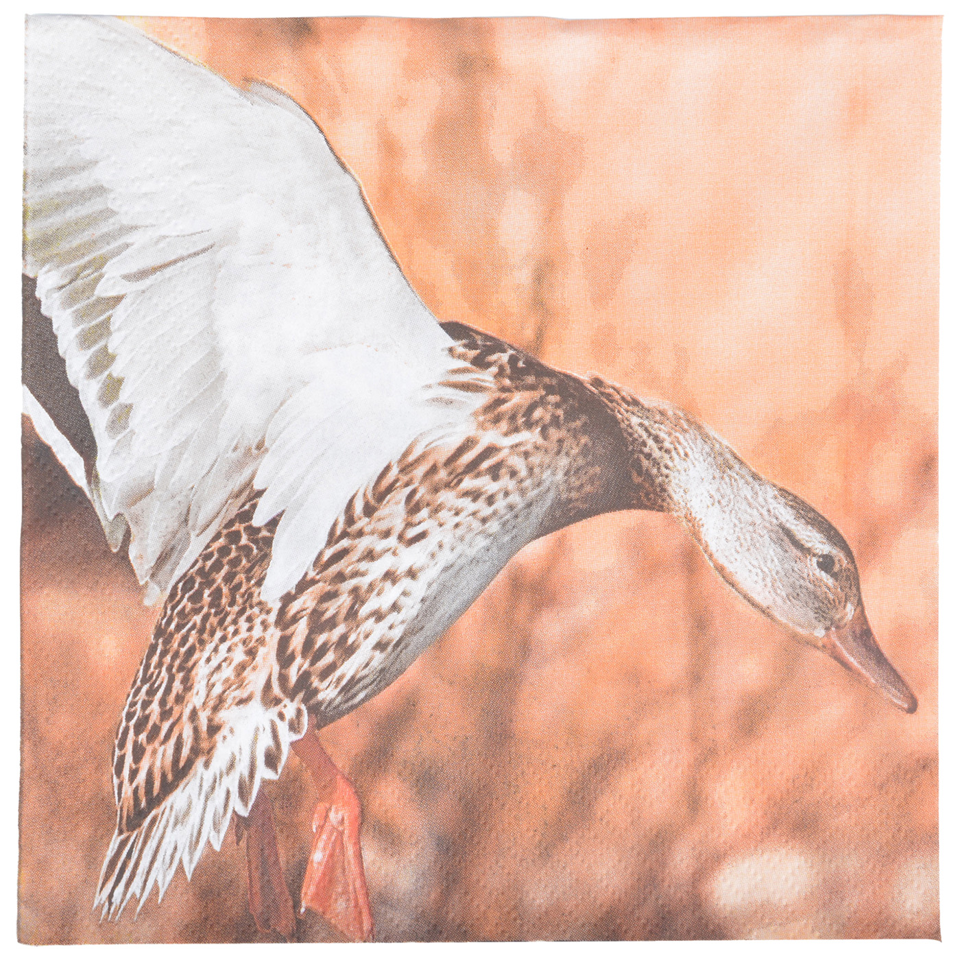 Servietten Wildenten | Servietten | Haus & Garten | Schmidt Versand GmbH